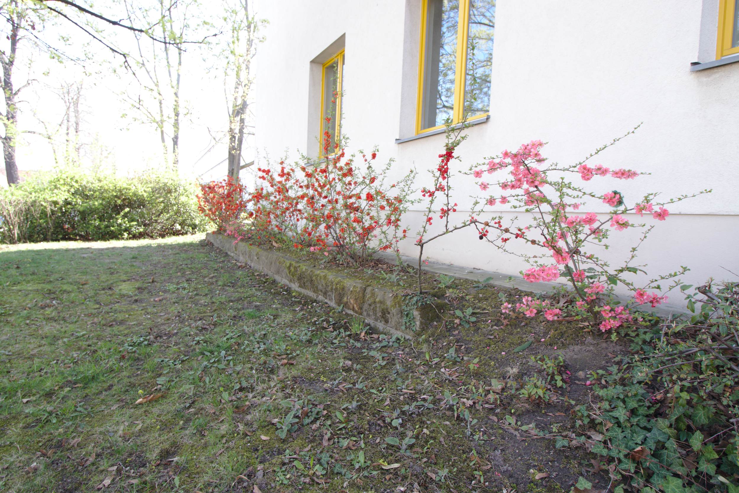 Garten für das SLUB Text Lab in Planung – offizielle Webseite des Stadtgärten e.V.